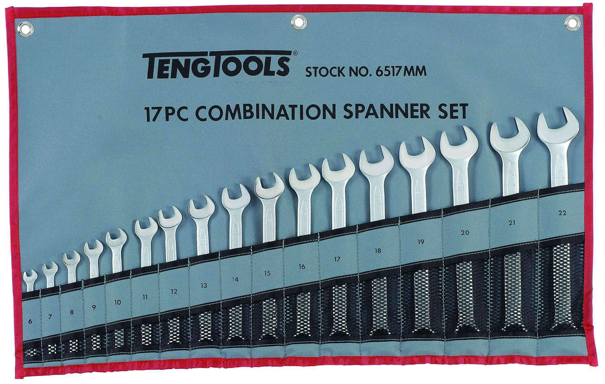 Teng Tools 17 Piece 12 Point Metric Combination Wrench Set (6MM - 22MM ...
