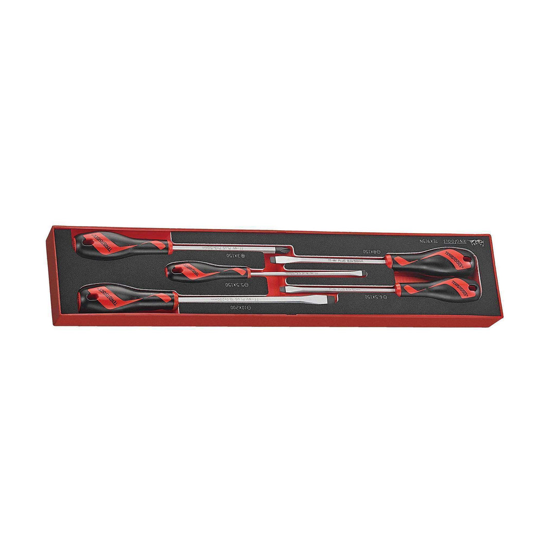 Teng Tools 5 Piece Flat and PH Type Screwdriver Set In Precision EVA F ...